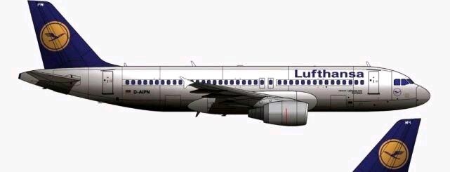 空中浩劫（五十八）汉莎航空2904号班机空难 - 哔哩哔哩