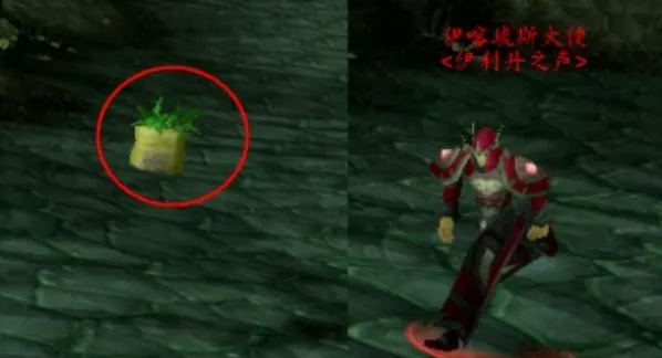 魔兽世界TBC怀旧服：冲榜大神也不知道的2个冷门BUFF，提高攻强法伤团本可用 - 哔哩哔哩