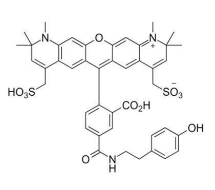 AF 594 tyramide，AF 594 TSA，AF594 酪胺，AF594荧光探针，具有更高的检测灵敏度 - 哔哩哔哩