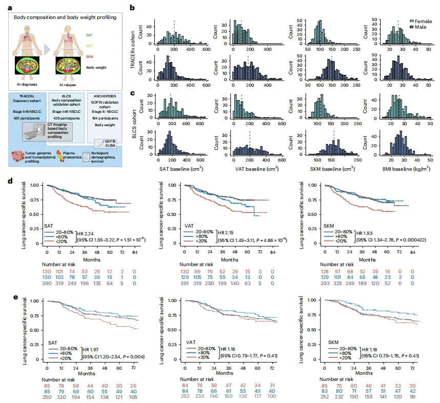 Olink高分文献解读|在TRACERx中肺癌患者的体重变化和身体组成与恶病质的关系 - 哔哩哔哩