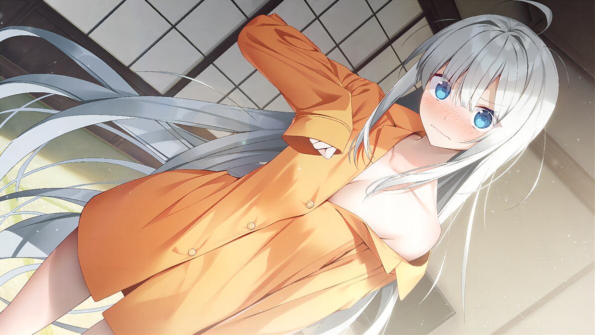 GINKA攻略 附cg、sd cg(全结局，无剧透) - 哔哩哔哩