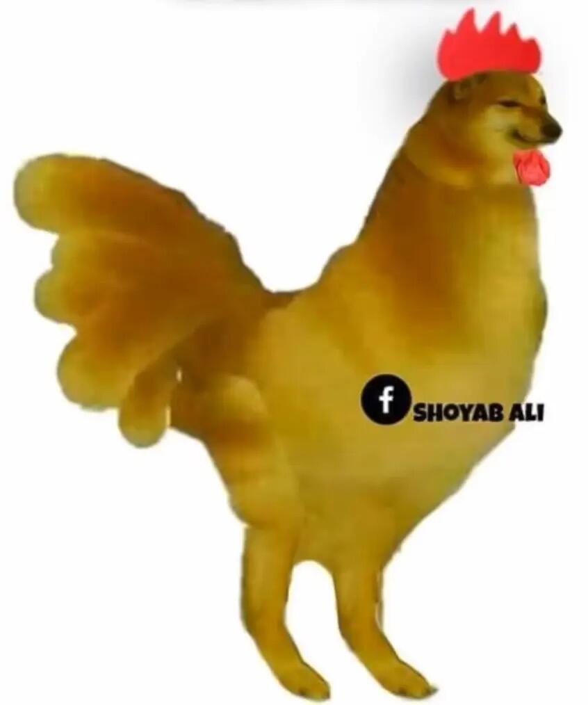 cheems/doge合集【2】｜正常人用的表情包（含对比图） - 哔哩哔哩