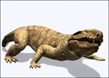 【科普链接】关于鬼谷藏龙UP主对古生物解说的错漏（v6） - 哔哩哔哩