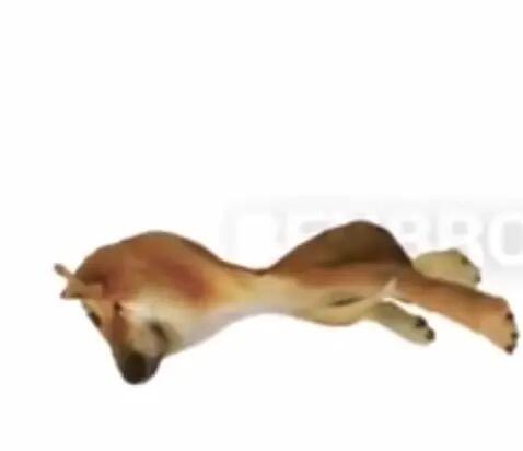 cheem/doge合集【1】｜正常人用的表情包 - 哔哩哔哩