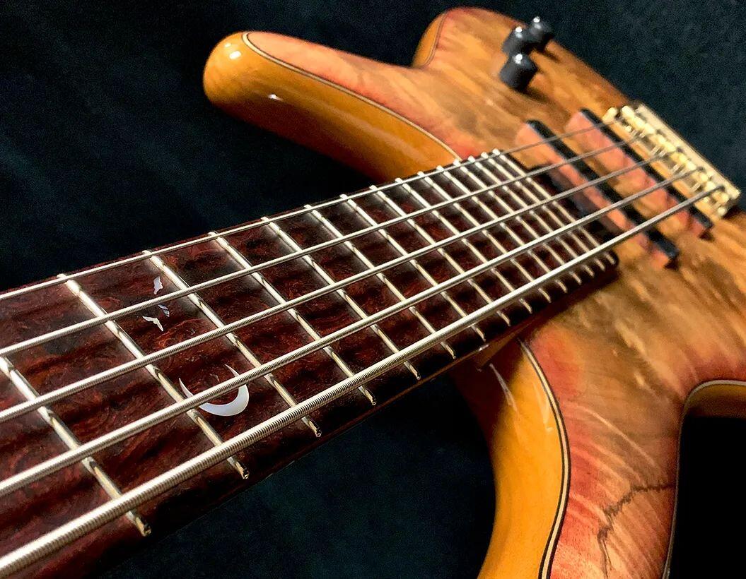 日系 | Sugi成立18年，杉本桑有话要说…… - 哔哩哔哩