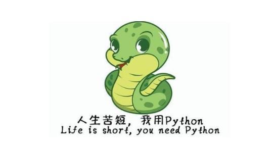 Python经典程序实例 十五个python经典案例，学会这些，python基础已过关！ Csdn博客