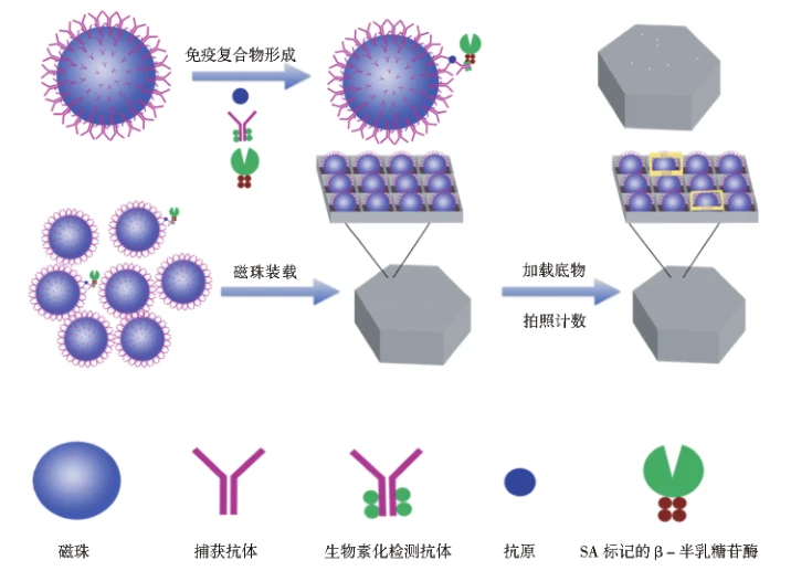 一文读懂单分子免疫检测（SiMoA技术） - 哔哩哔哩