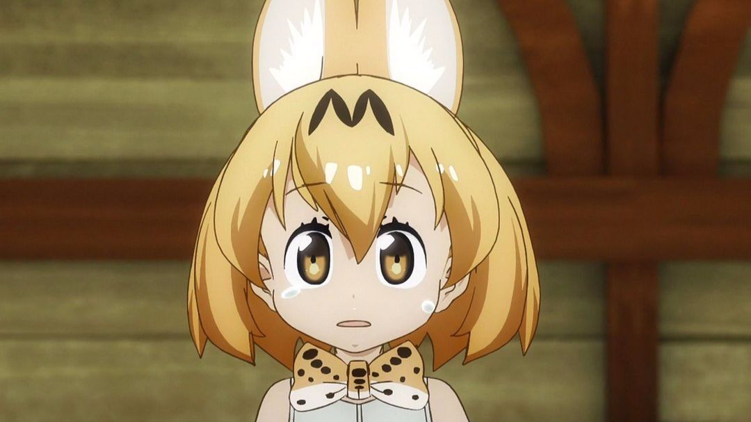 Anitama新声：再也回不到过去 Oh Friends - 哔哩哔哩