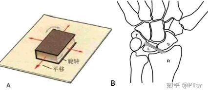 关节的分类 - 哔哩哔哩
