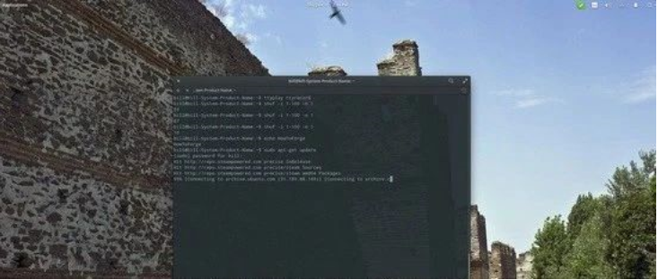 Linux终端操作和命令行基本语法 哔哩哔哩