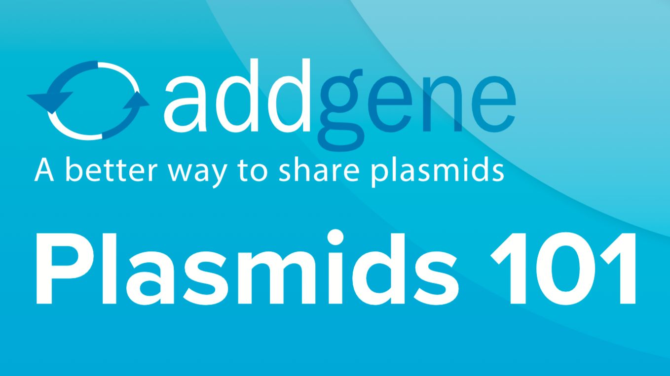 Addgene Plasmid 101 - 分子生物学基础 - 哔哩哔哩