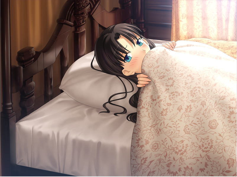 《Fate/hollow ataraxia》（fha）主线CG分享③ - 哔哩哔哩