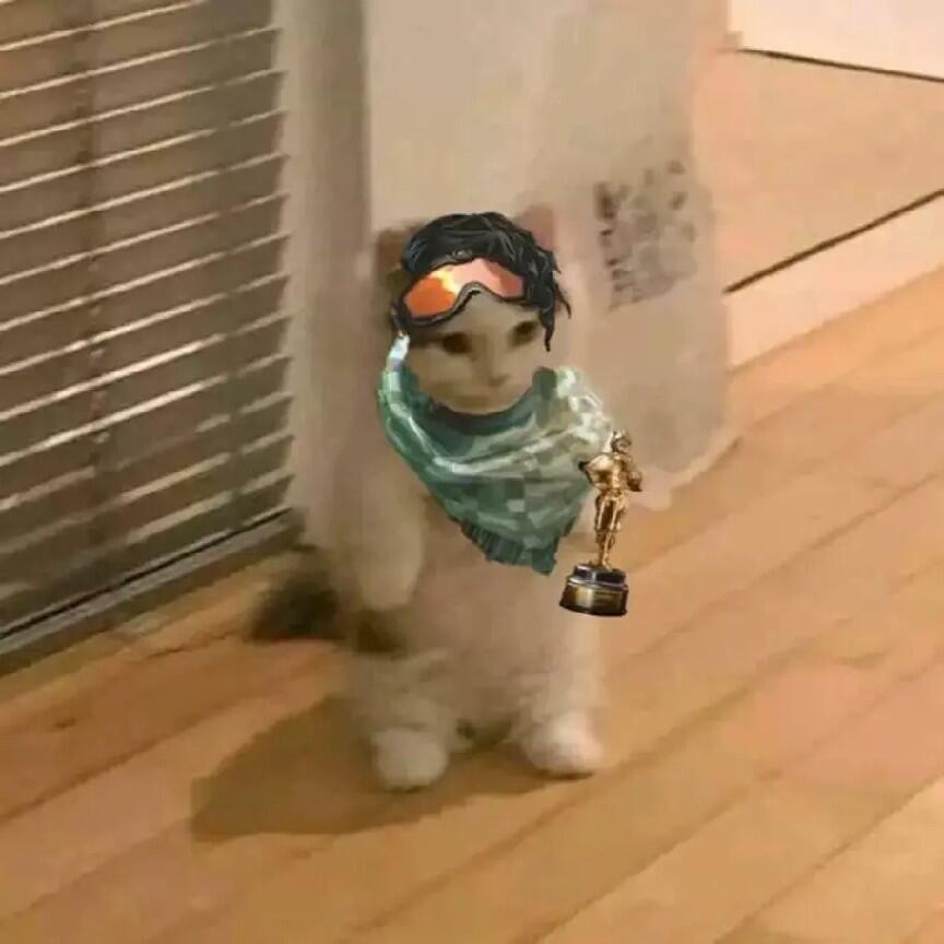 【APEX】APEX英雄美图和表情包分享『第一期』。 - 哔哩哔哩