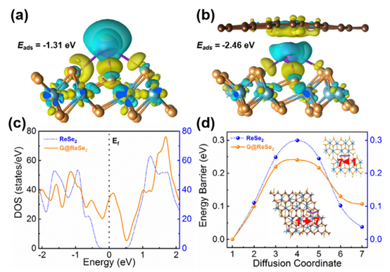 MXene#JEC: N掺杂/ReSe2/MXene异质结构用于钾电 - 哔哩哔哩