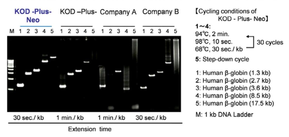 KOD-Plus-Neo产品说明书 - 哔哩哔哩