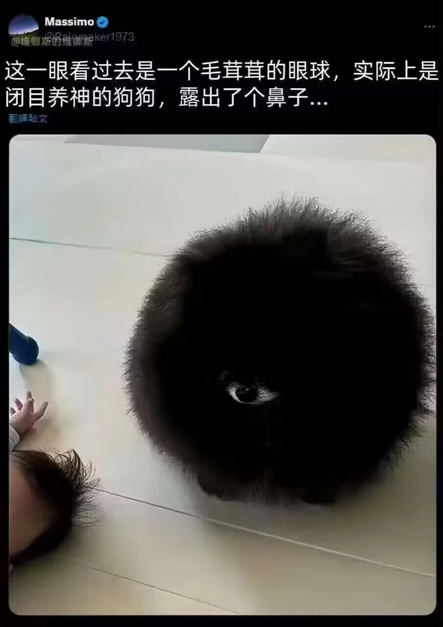 梗图与乱七八糟 241219 I 侵删 - 哔哩哔哩