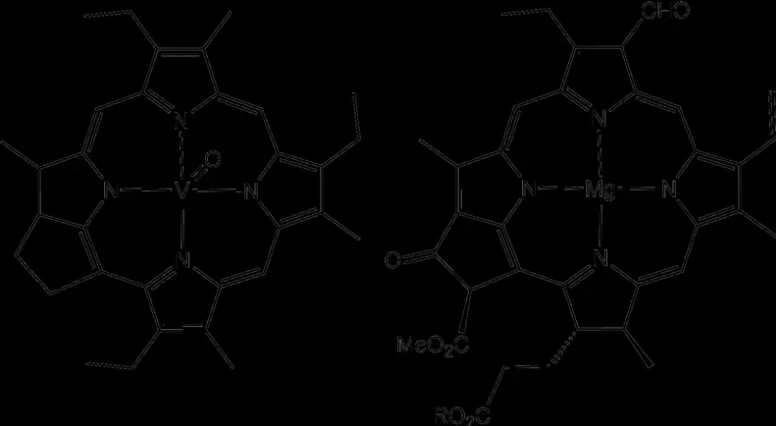 scp－1462－"可再生能源"之来源 - 哔哩哔哩