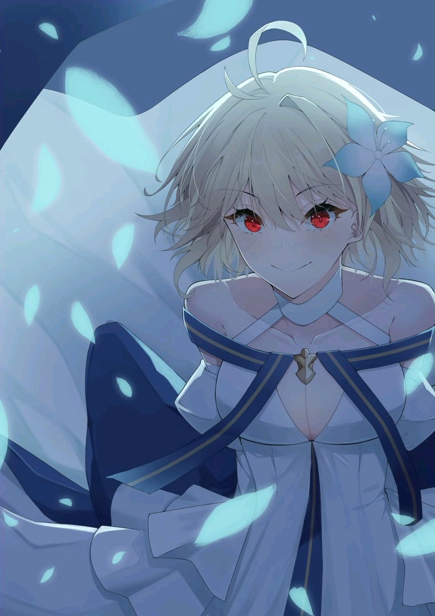 爱尔奎特（Arcueid）【月姬】 - 哔哩哔哩