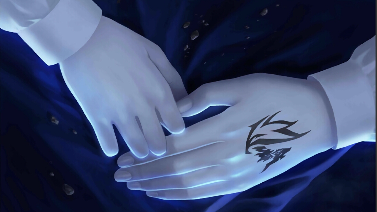 【B萌应援】【FA/Fgo齐格】仅为我个人的故事 - 哔哩哔哩