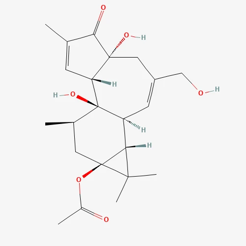 前列腺素；PKC活化剂 - 哔哩哔哩