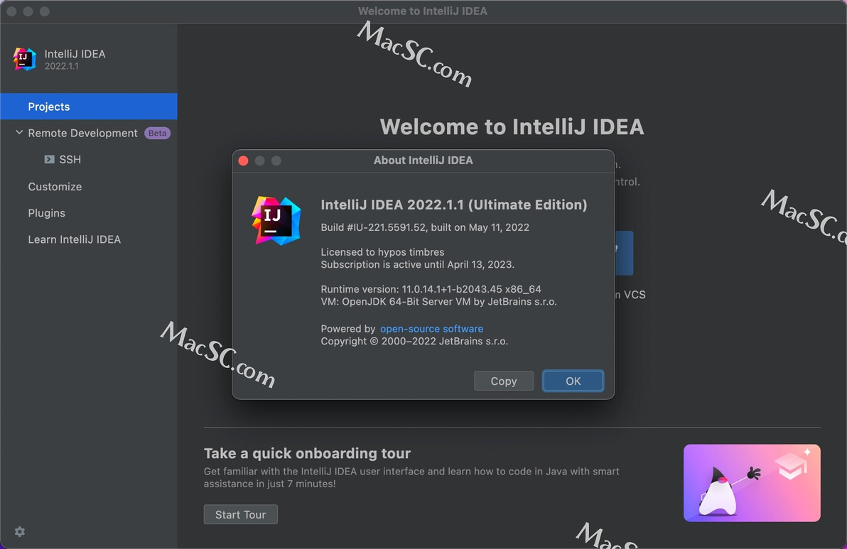 最好用的Java开发工具JetBrains IntelliJ IDEA 2022(mac/win) - 哔哩哔哩