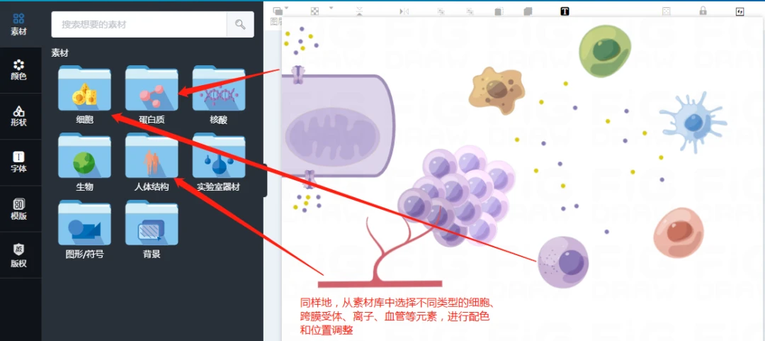 国内首个开放式在线科研绘图平台Figdraw上线，轻松复现CNS文章配图 - 哔哩哔哩