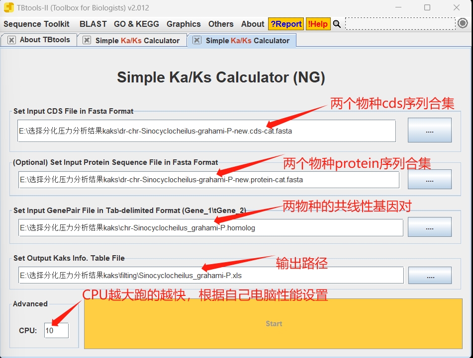 使用TBtools计算ka/ks - 哔哩哔哩