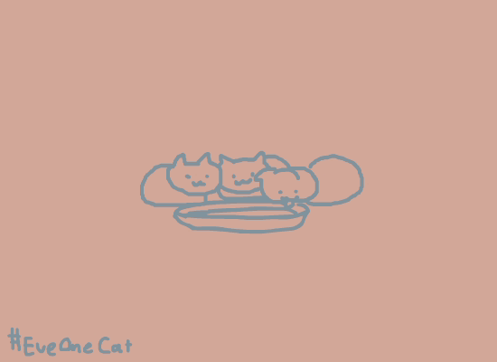 送Everyday one cat全套表情包，请自取～（eveonecat）看到就是赚到 - 哔哩哔哩