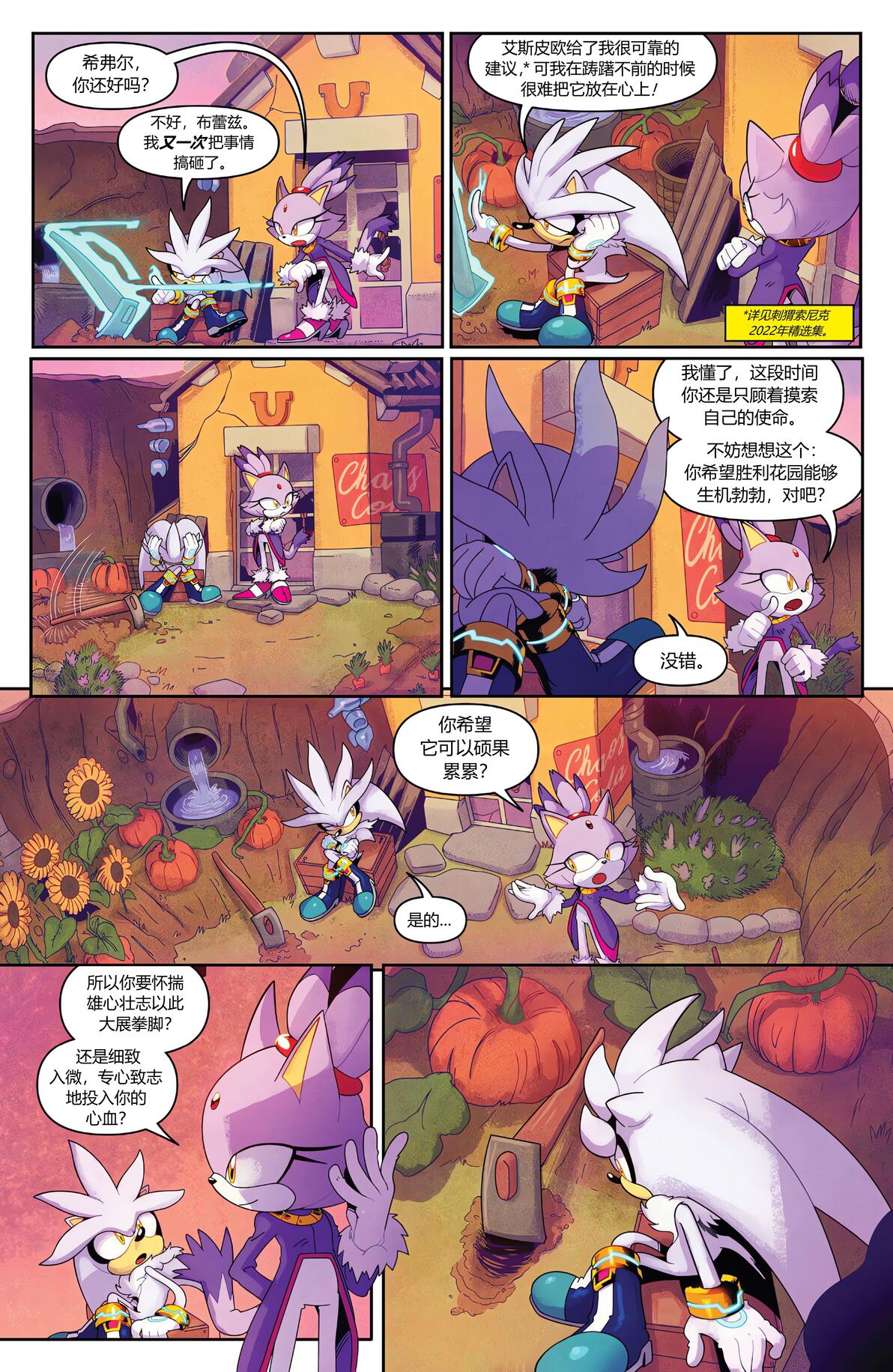 【IDW漫画】刺猬索尼克 vol.16 祸不单行（汉化） - 哔哩哔哩