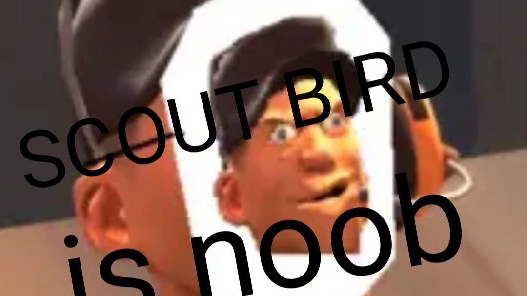 bird is noob - 哔哩哔哩