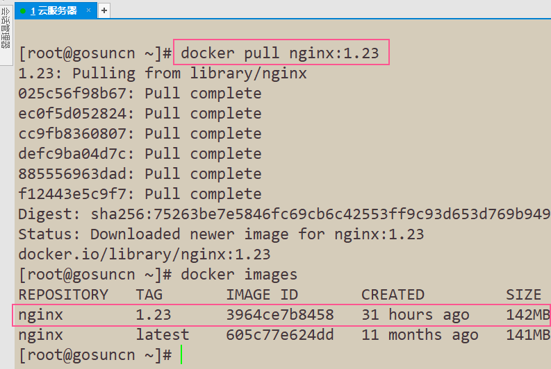 Docker Pull 镜像拉取 用法 哔哩哔哩