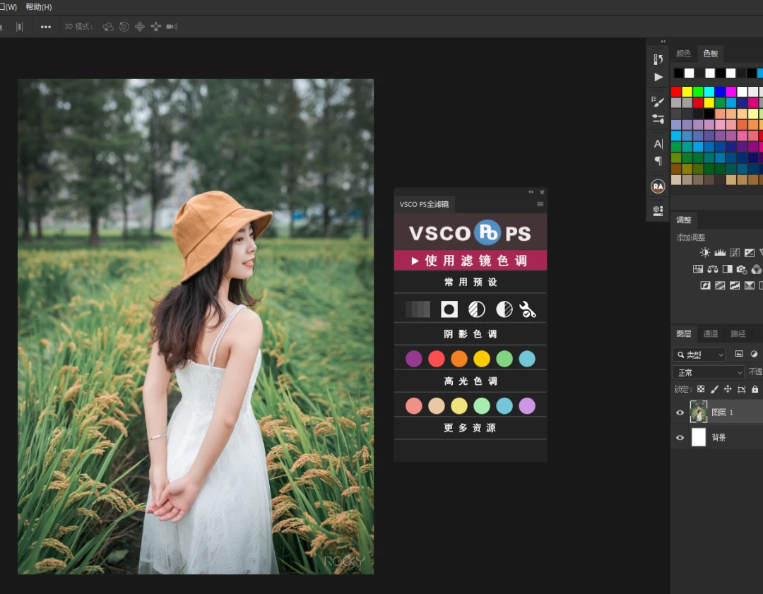 2023升级汉化版，内置676款滤镜，Vsco全滤镜ps插件，支持Win/Mac系统 - 哔哩哔哩