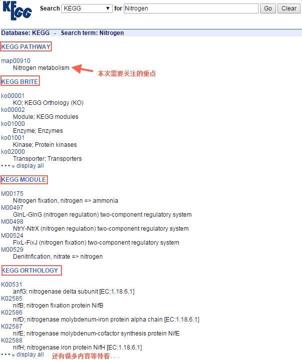 KEGG在线数据库使用攻略 - 哔哩哔哩
