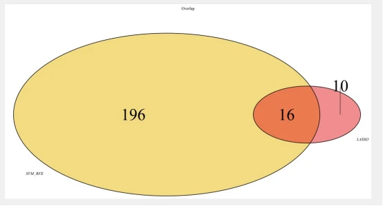 跟着小云蹭热点，利用LASSO回归和SVM-REF两种机器学习算法进行特征变量筛选 - 哔哩哔哩