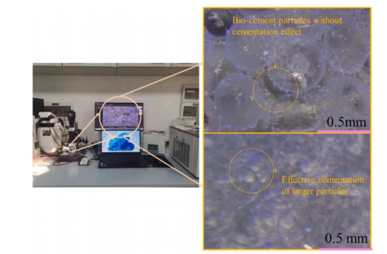 “生物水泥”的精细化调控技术 - 哔哩哔哩