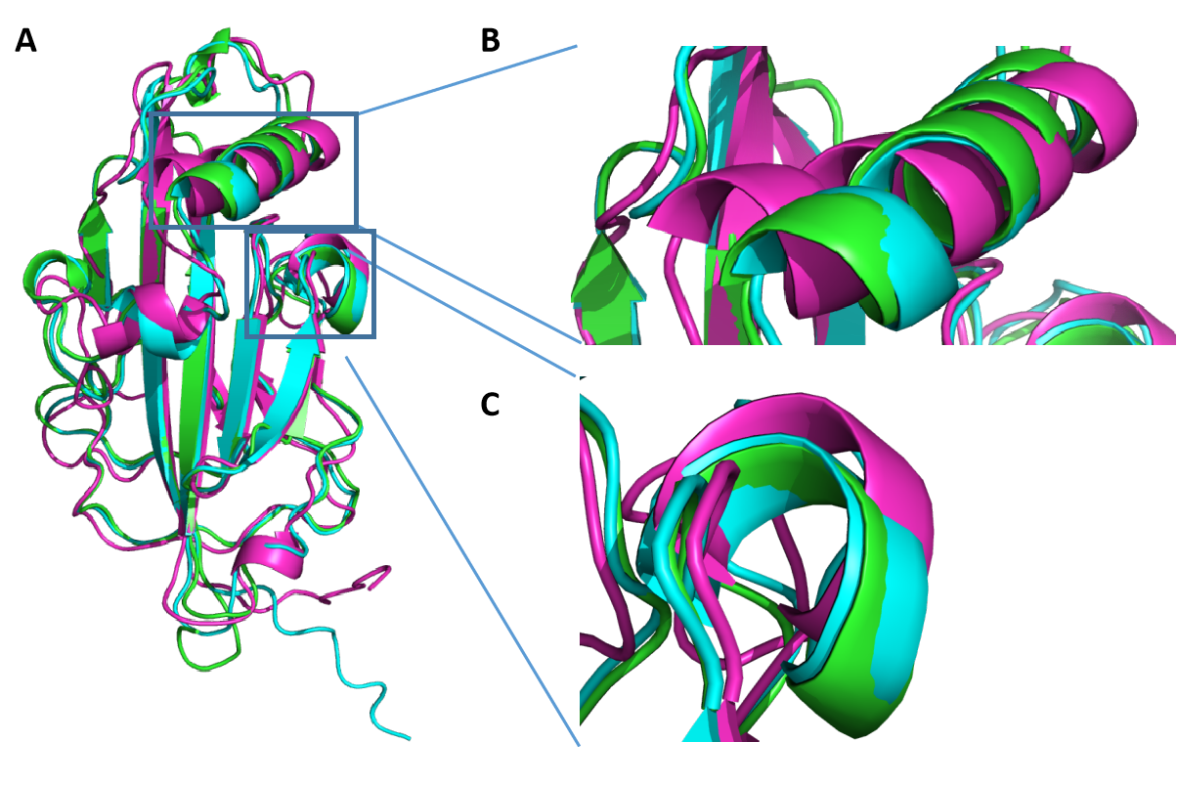 Alphafold2和RoseTTAFold蛋白结构预测准确性研究（测评向伪论文，看个乐哈） - 哔哩哔哩