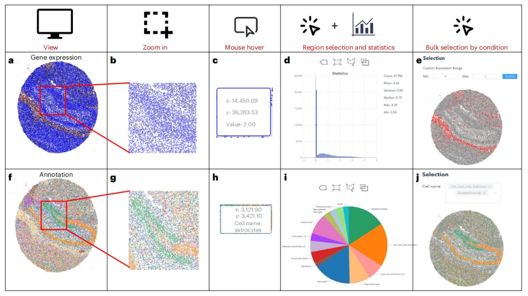 Nat Methods | SODB推动空间组学数据的全面探索 - 哔哩哔哩