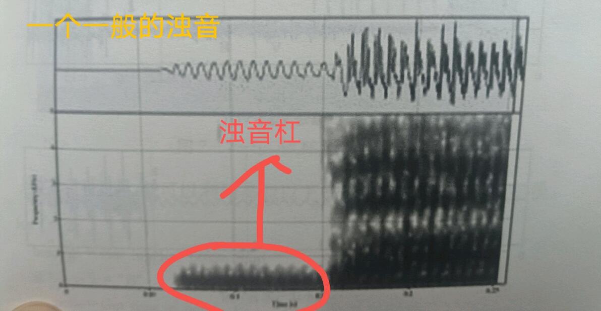 知识点分享 发声态 | 清浊、送气、耳语、嘎裂、假声、气声、糙声 - 哔哩哔哩