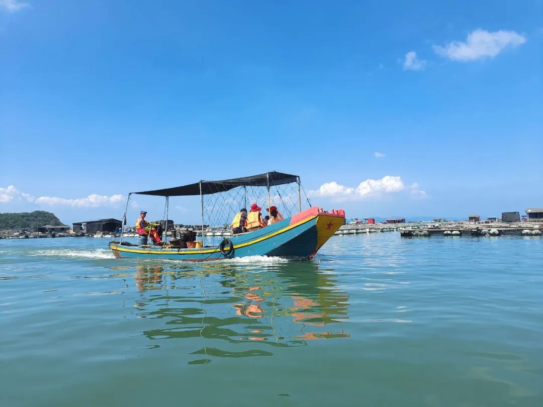 风情无人岛｜海岛露营，海上浆板SUP，沙滩飞盘，醉美落日 - 哔哩哔哩