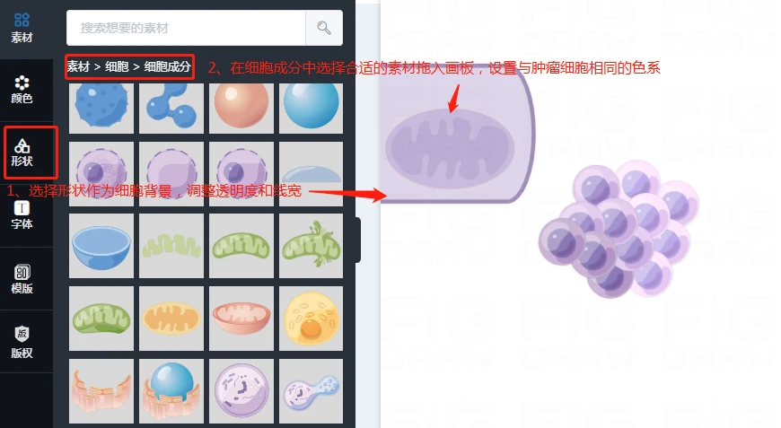 国内首个开放式在线科研绘图平台Figdraw上线，轻松复现CNS文章配图 - 哔哩哔哩