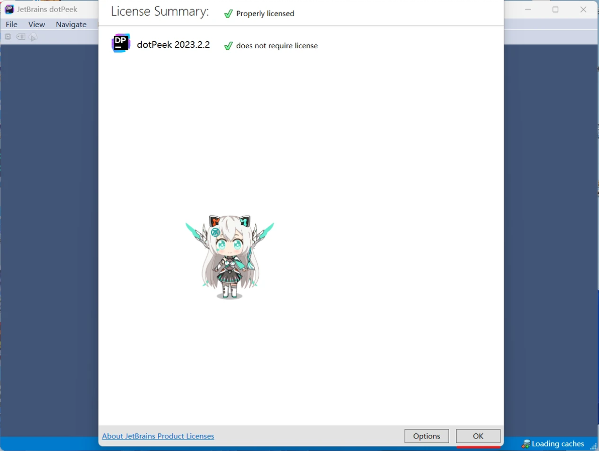 dotPeek安装过程以及打开 - 哔哩哔哩