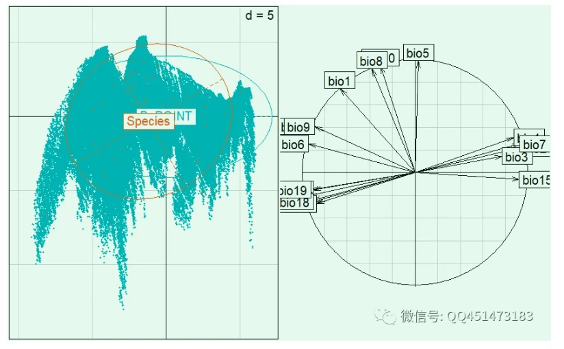 基于R语言平台Biomod2模型的物种分布建模与可视化分析教程（发文利器）2024 - 哔哩哔哩
