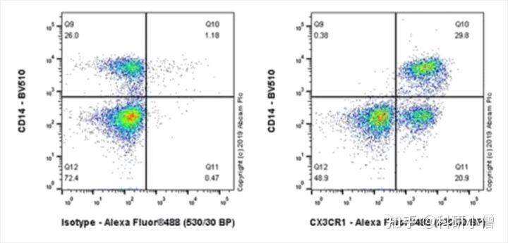 【罗工流式秘籍44】流式对照的实验小结 - 哔哩哔哩