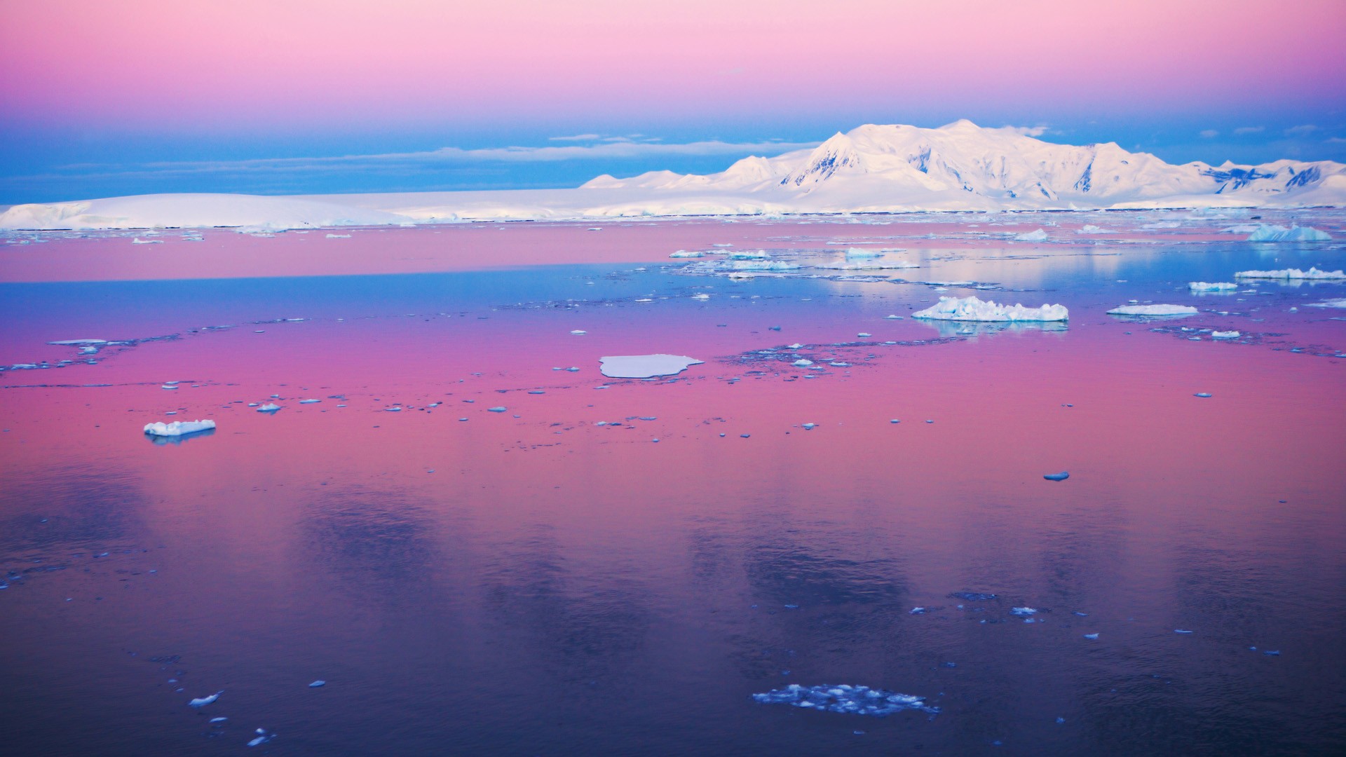 今天发布两张必应图哦~~ - 哔哩哔哩
