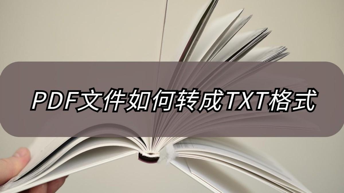 Pdf文件如何转成txt格式？速速来学这个小技巧 哔哩哔哩 