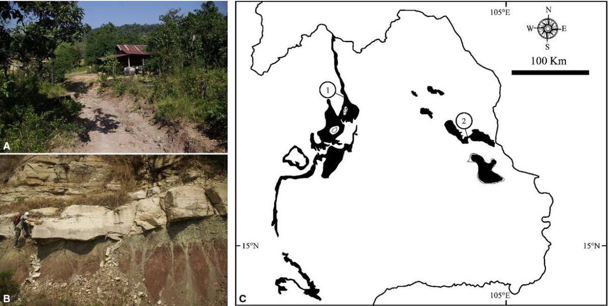 【科普】浅谈白垩纪那些巨型大头鳄类 - 哔哩哔哩