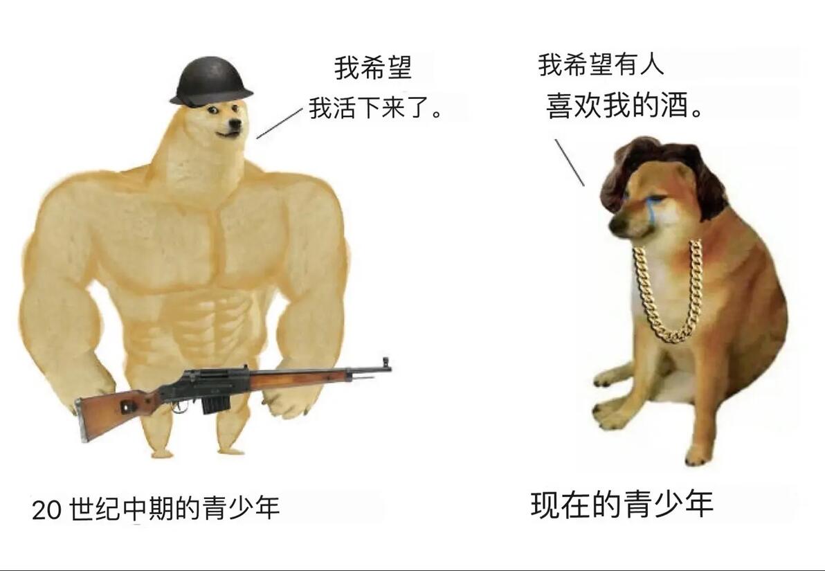 cheems/doge合集【2】｜正常人用的表情包（含对比图） - 哔哩哔哩