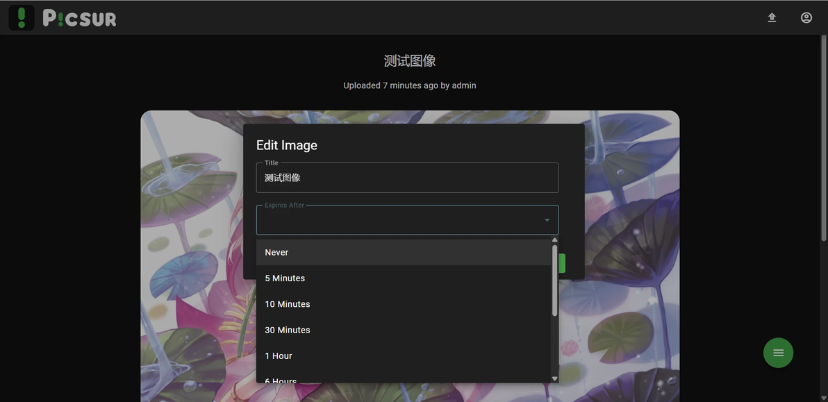 【docker】多功能、内置编辑的图床 | Picsur - 哔哩哔哩