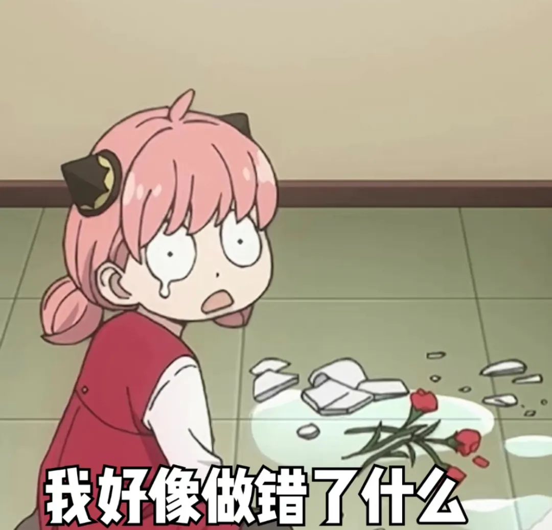 表情包 我没惹任何人 哔哩哔哩