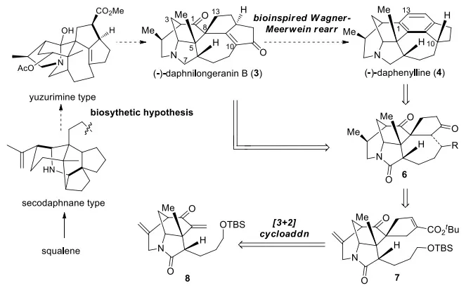 Angew：北大、兰大团队虎皮楠生物碱(-)-Daphnilongeranin B和(-)-Daphenylline的合成 - 哔哩哔哩